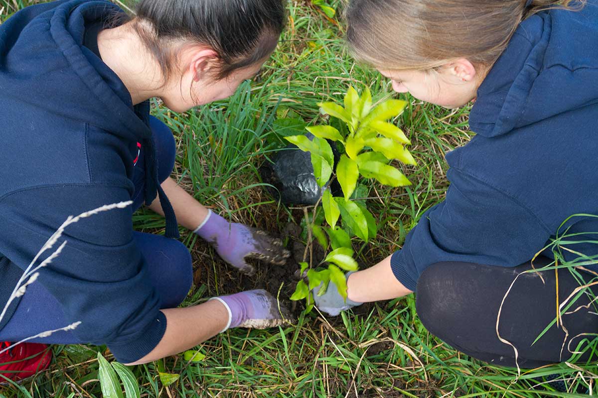 Diocesan School for Girls - Community Service | William Pike Challenge
